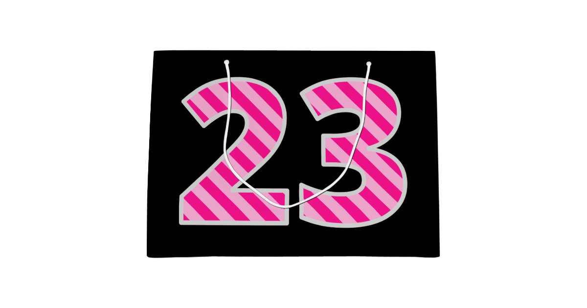 Fun Pink Striped "23"; Happy 23rd Birthday; Name Large Gift Bag | Zazzle