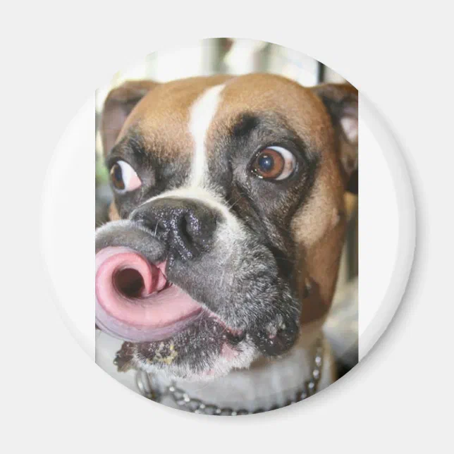 Funny Boxer Dog Magnet | Zazzle