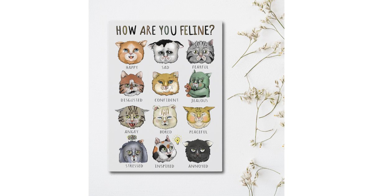 Funny Cat Feeling Chart How Are You Feline? Postcard | Zazzle