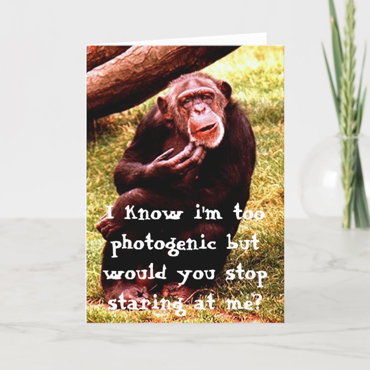 Funny chimpanzee greeting card | Zazzle