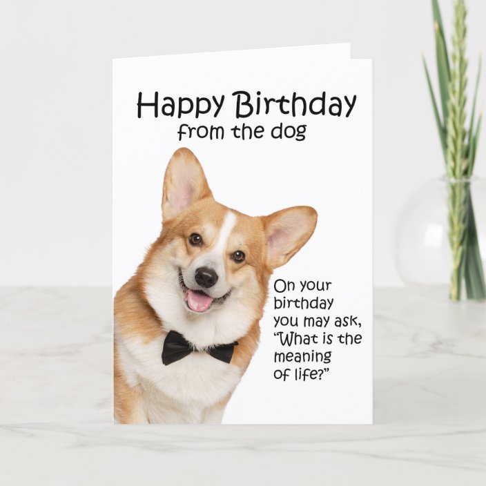 Funny Corgi Birthday Card | Zazzle.co.uk