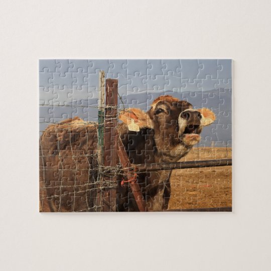 Funny Cow Jigsaw Puzzle | Zazzle.co.uk