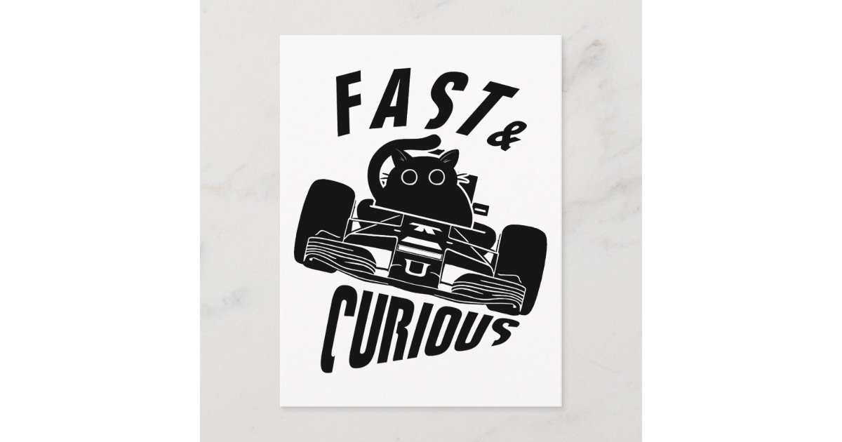 Funny Curious car driving cat Postcard | Zazzle