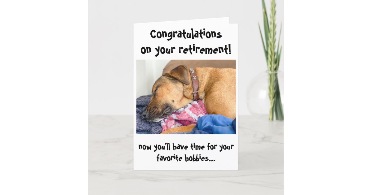 Funny Dog Congratulation on Retirement Card | Zazzle