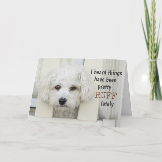 Funny Dog Get Well Soon Ruff Pun Cute Motivational Card | Zazzle.co.uk