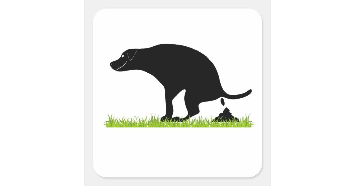Funny Dog Pooping Square Sticker | Zazzle