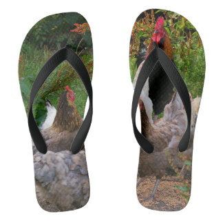 Funny Flip Flops, Funny Sandals Footwear for Men & Women