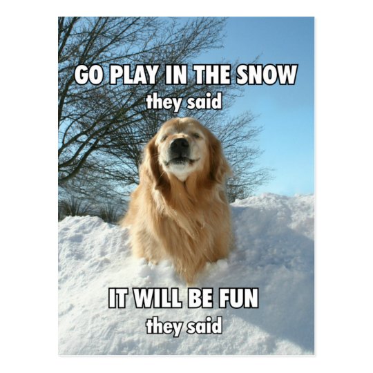 Animal Snow Memes