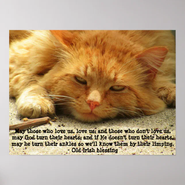 Funny Irish Blessing with Smiling Kitty Poster | Zazzle