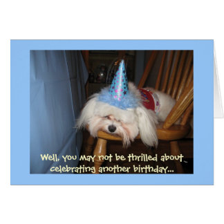 Maltese Birthday Cards & Invitations | Zazzle.co.uk