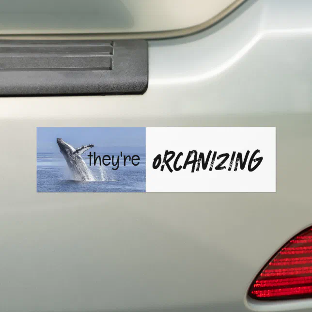 Funny ORCANIZING Orca Killer Whale Meme Joke Bumper Sticker | Zazzle