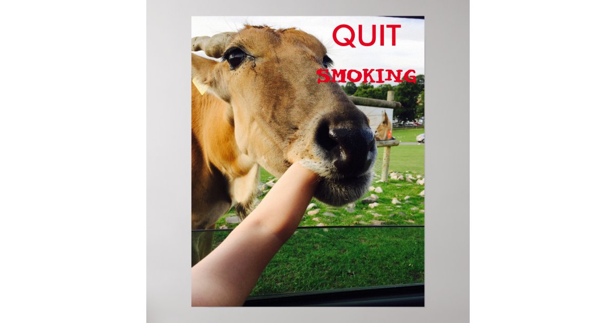 Funny quit smoking poster | Zazzle