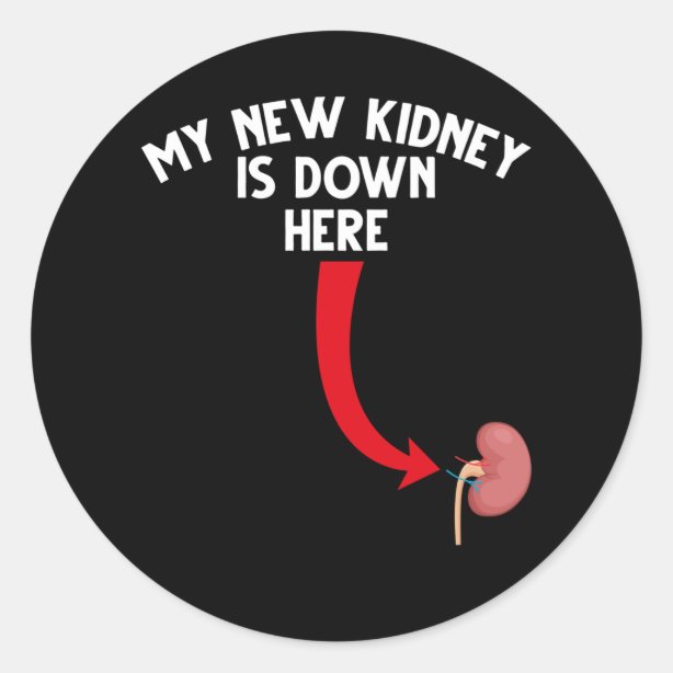 Kidney Stickers & Labels | Zazzle UK