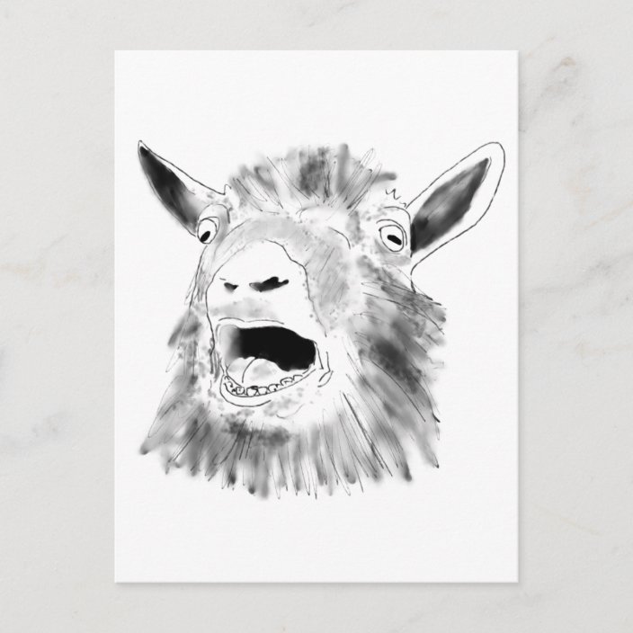 Funny Screaming Goat Drawing Quirky Animal Art Postcard | Zazzle.co.uk