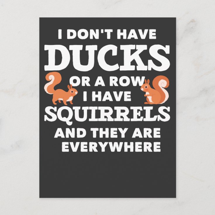 Funny Squirrel Joke Hilarious Rodent Humour Postcard | Zazzle