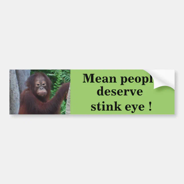 Funny Stink Eye Bumper Sticker | Zazzle