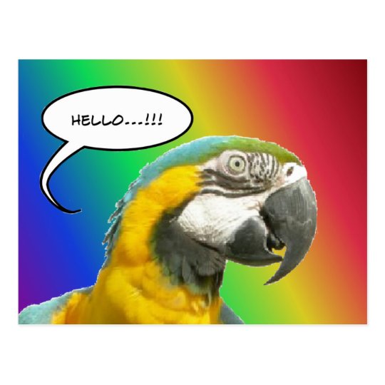Funny Talking Parrot Rainbow Hello Postcard | Zazzle.co.uk
