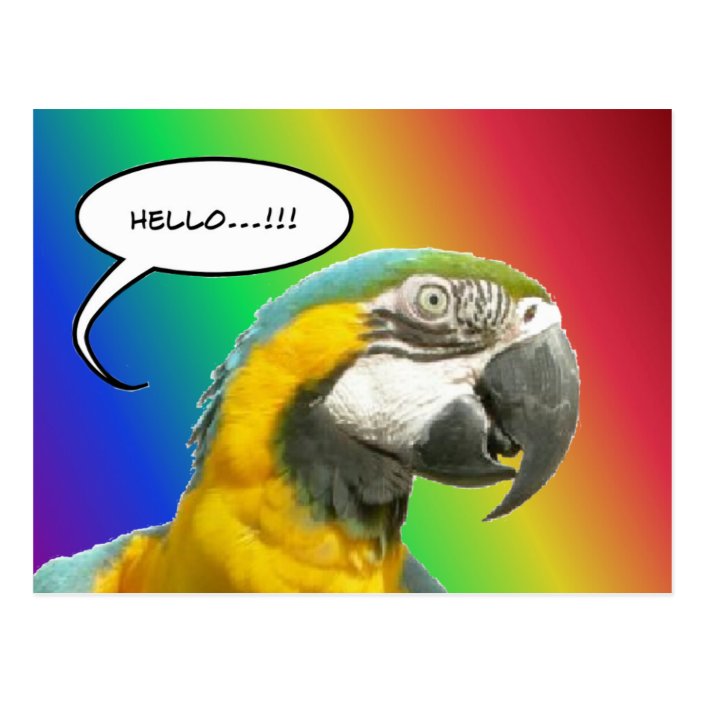 Funny Talking Parrot Rainbow Hello Postcard | Zazzle.co.uk
