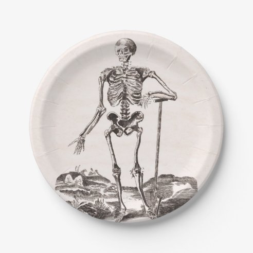Vintage Skeleton Plates | Zazzle UK
