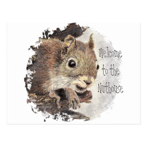 Funny, Welcome to the Nuthouse, Squirrel, Animal Postcard | Zazzle