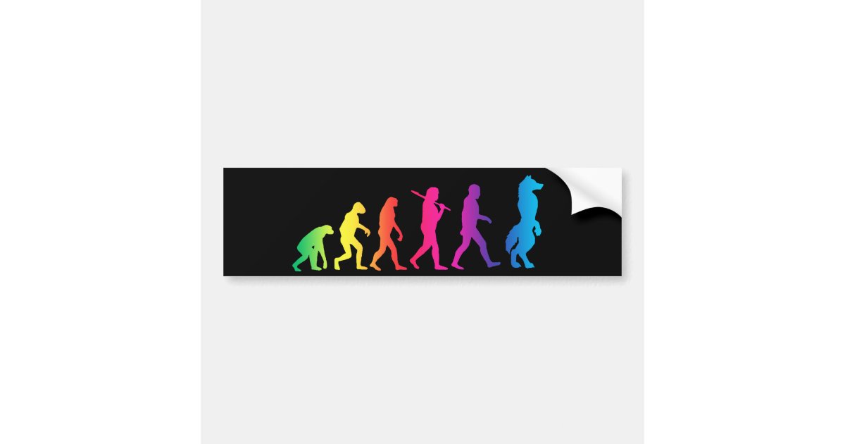 Furry evolution bumper sticker | Zazzle