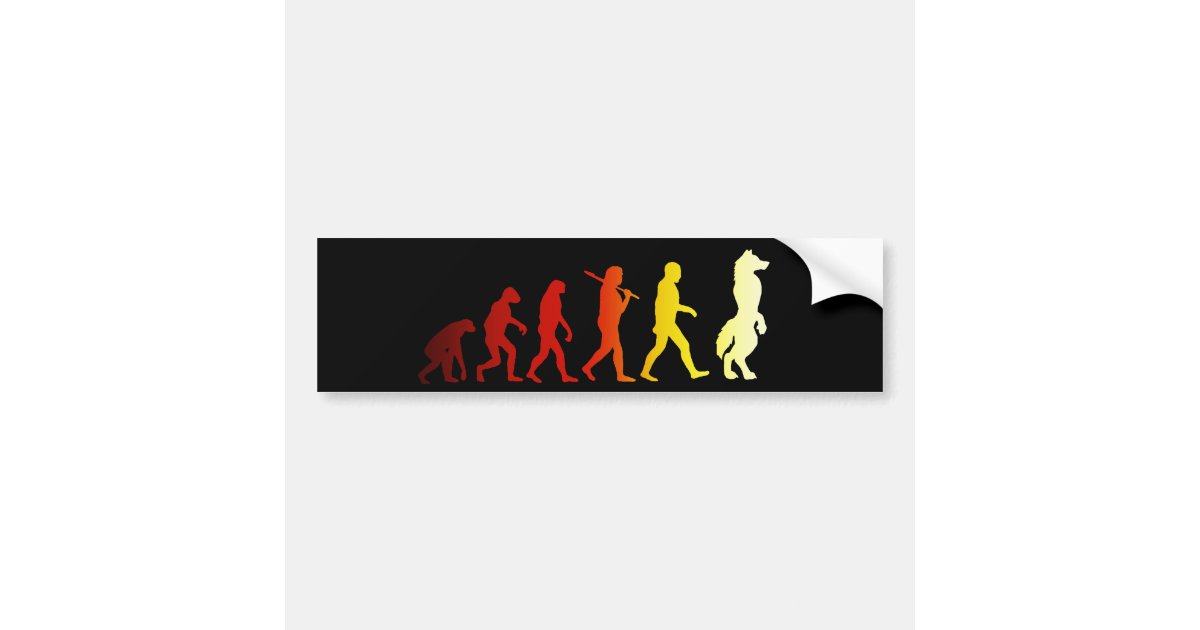 Furry evolution bumper sticker | Zazzle