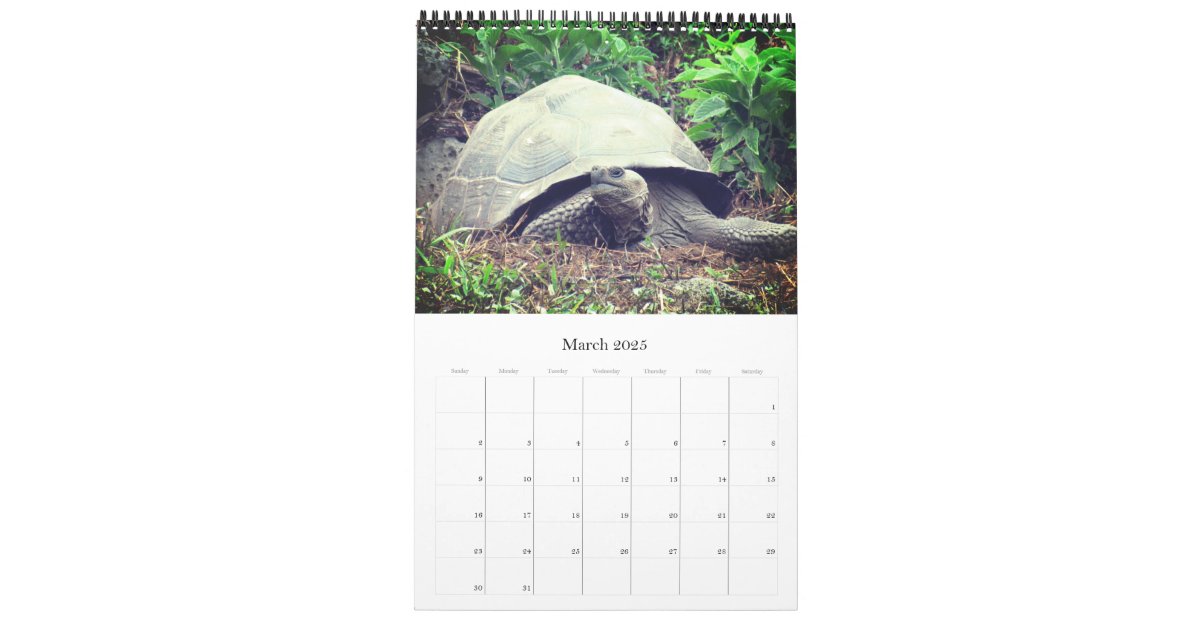 galapagos islands calendar | Zazzle
