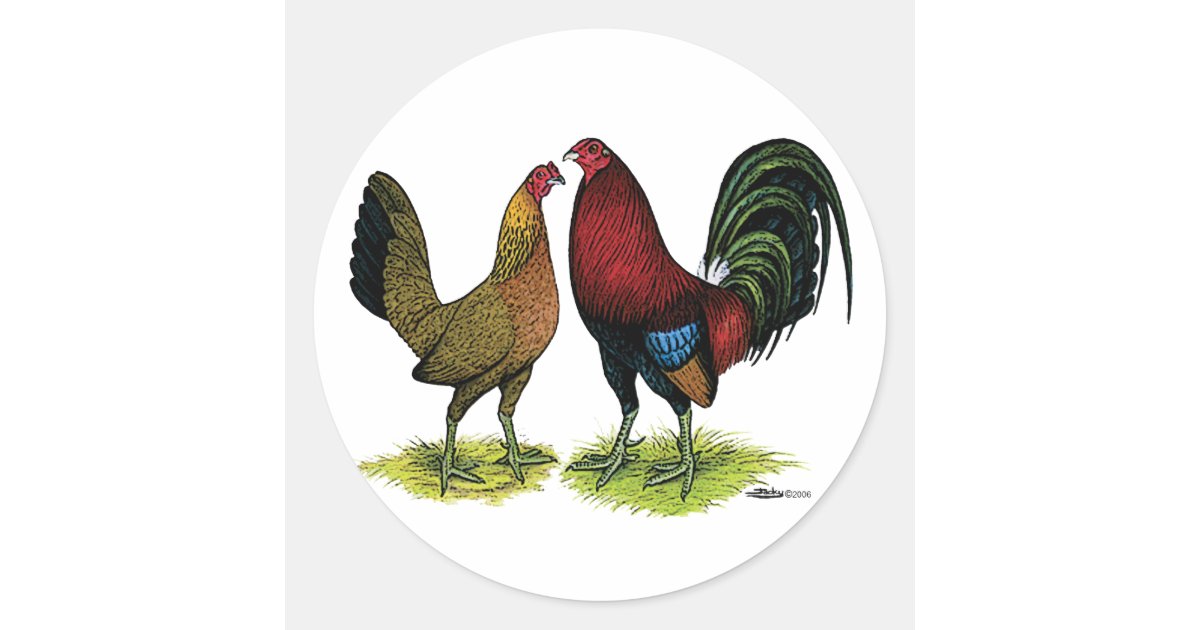 Gamefowl Pair Classic Round Sticker | Zazzle