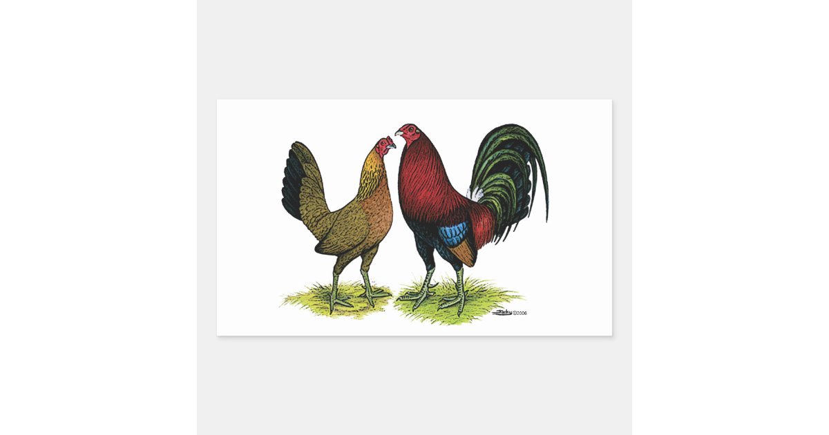 Gamefowl Pair Rectangular Sticker | Zazzle
