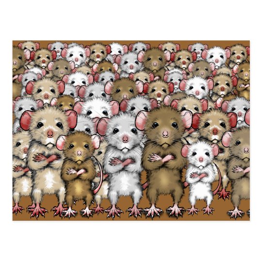 Gang Bunch of Rats Postcard | Zazzle.co.uk