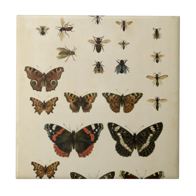Garden Insects by Vision Studio Tile | Zazzle