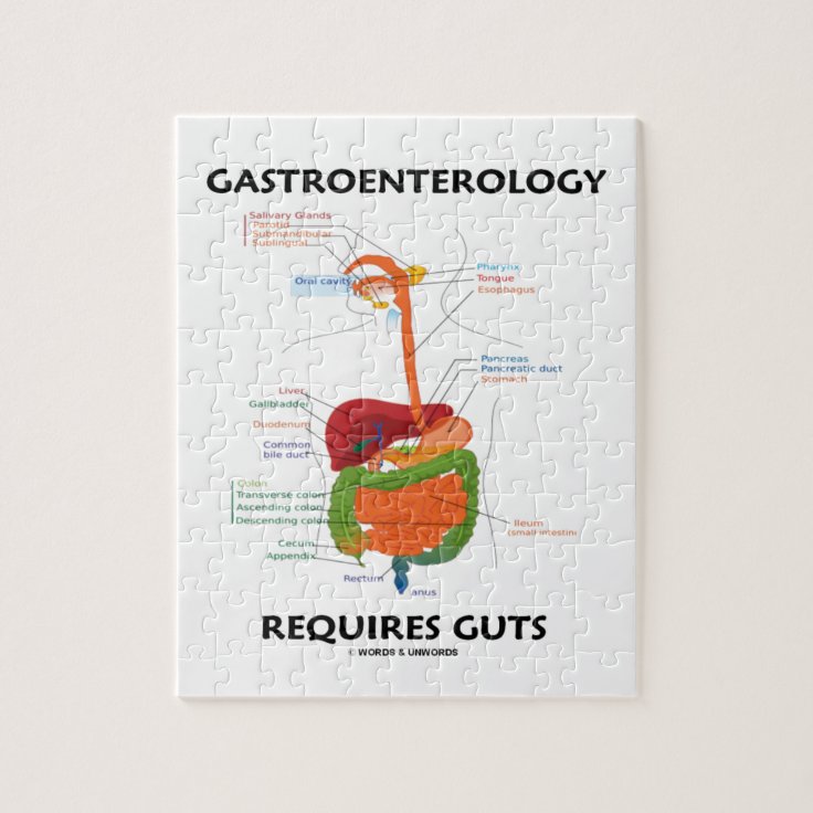 Gastroenterology Requires Guts (Digestive System) Jigsaw Puzzle | Zazzle
