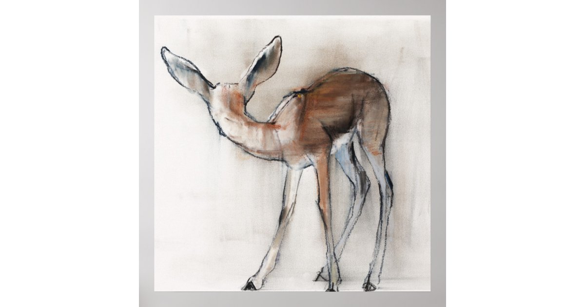 Gazelle Fawn Poster | Zazzle