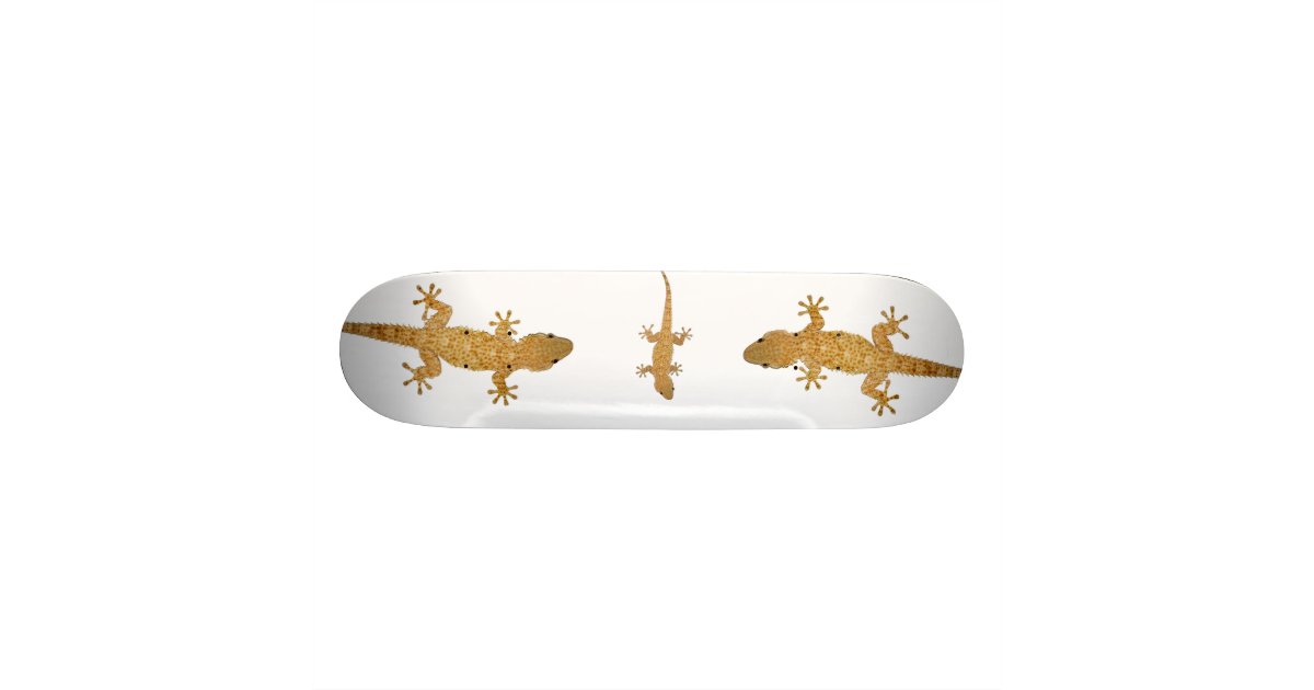 Gecko lizard reptile skateboard | Zazzle.co.uk