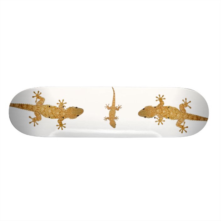 Gecko lizard reptile skateboard | Zazzle.co.uk