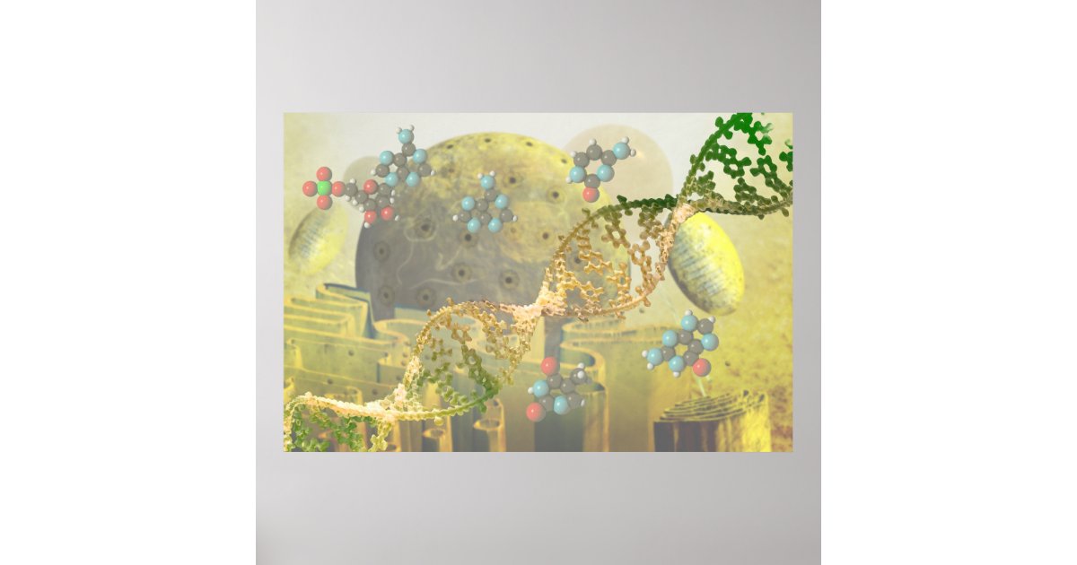 Genetic engineering poster | Zazzle