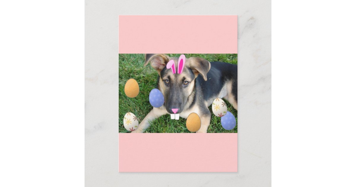 German Shepherd Easter Puppy Holiday Postcard | Zazzle
