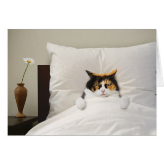 Funny Cat Get Well Cards & Invitations | Zazzle.co.uk