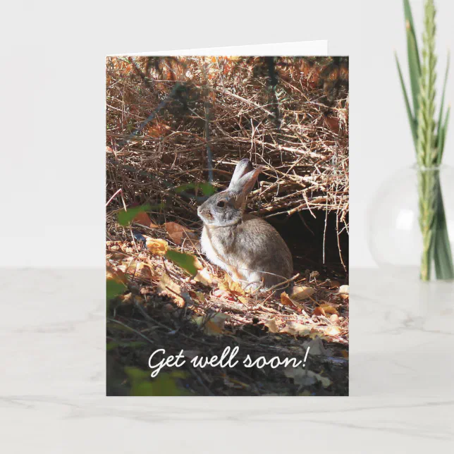 Get Well Soon Bunny Rabbit Greeting Card | Zazzle