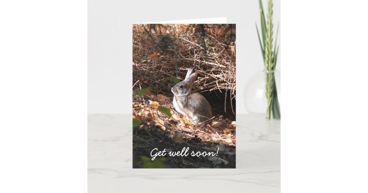 Get Well Soon Bunny Rabbit Greeting Card | Zazzle