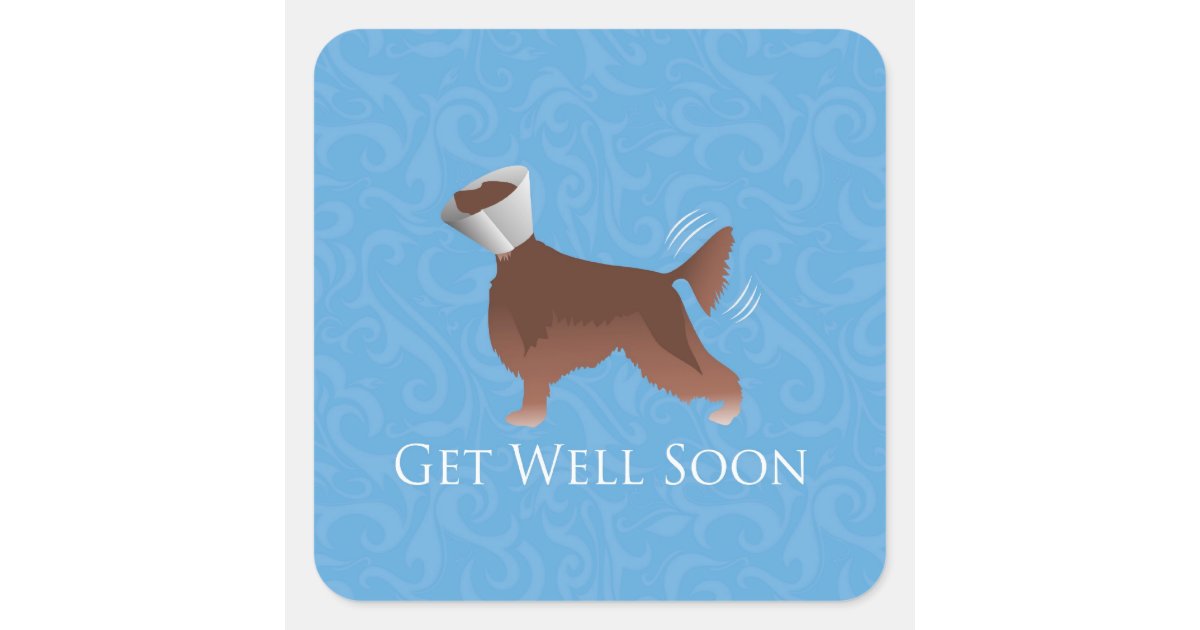 Get Well Soon - Irish Setter Male Square Sticker | Zazzle