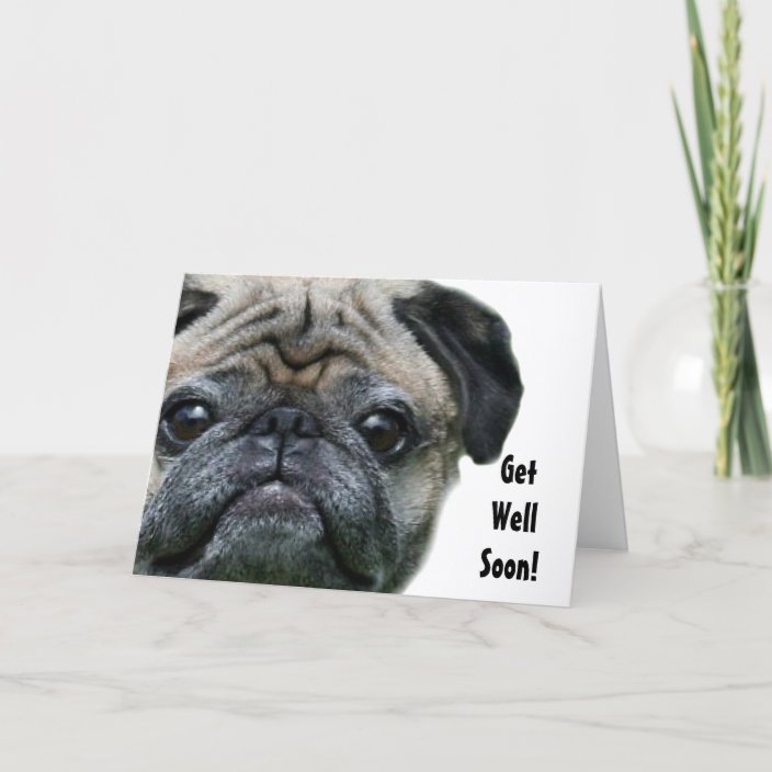 Get Well Soon Pug Dog greeting card | Zazzle.co.uk