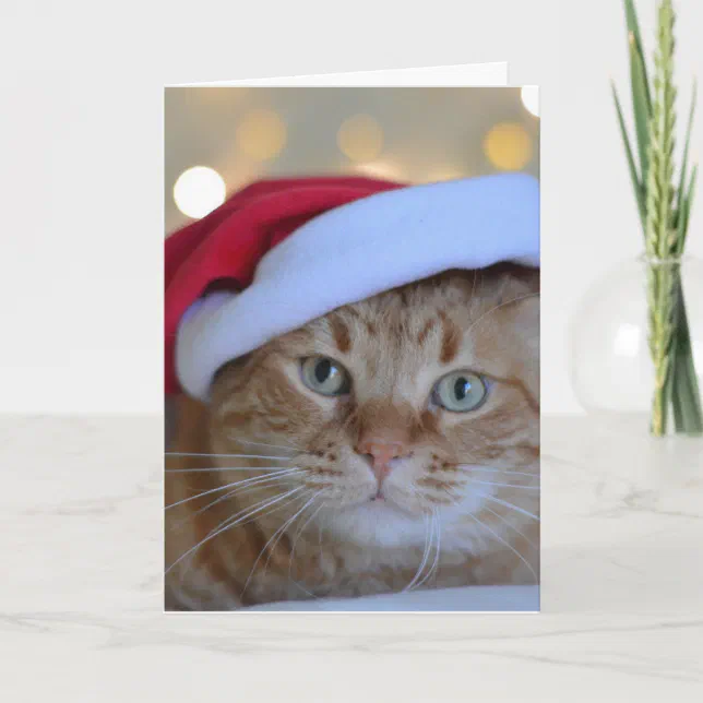 GINGER CAT CHRISTMAS CARD | Zazzle