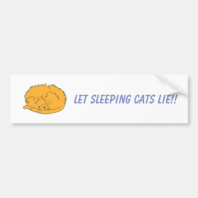 Ginger Cat Let Sleeping Cats Lie Bumper Sticker | Zazzle