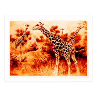 Vintage Safari Postcards | Zazzle UK