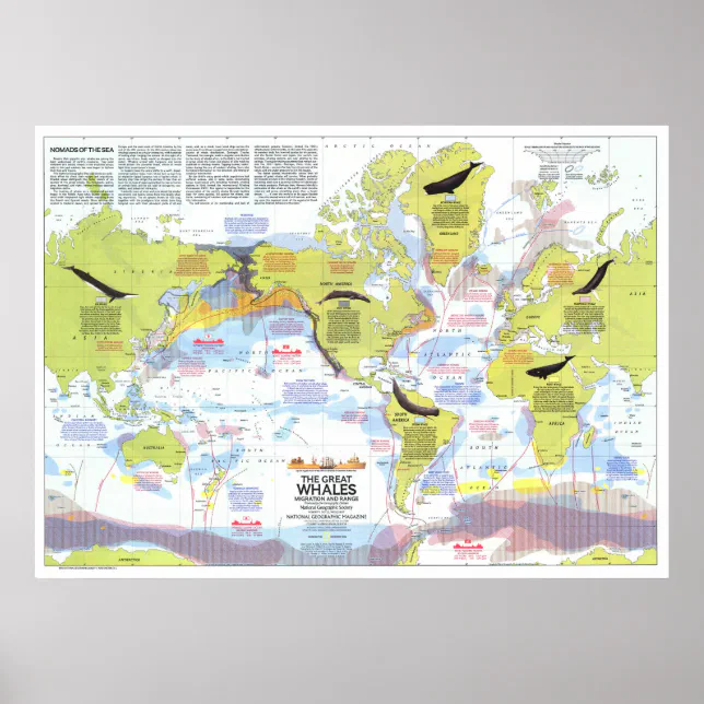 " Global: 1976 - Wale der Welt Wanderkarte ... Poster | Zazzle