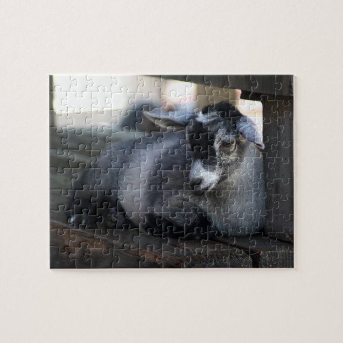 Goat Jigsaw Puzzle | Zazzle.co.uk