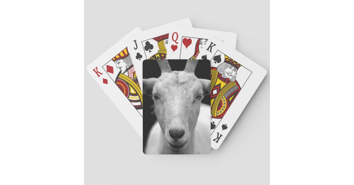 goat playing cards | Zazzle