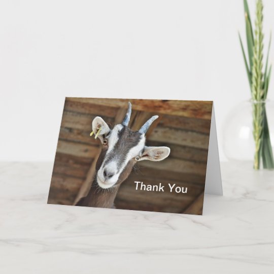 Goat Thank You Card | Zazzle.co.uk