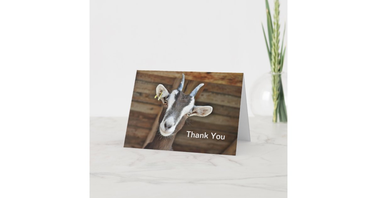 Goat Thank You Card | Zazzle